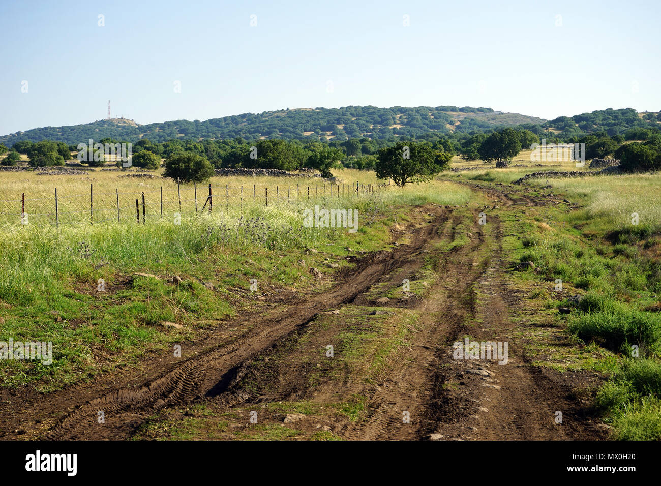 Dirt road in Golan Heights in Galilee, Israel Stock Photo - Alamy