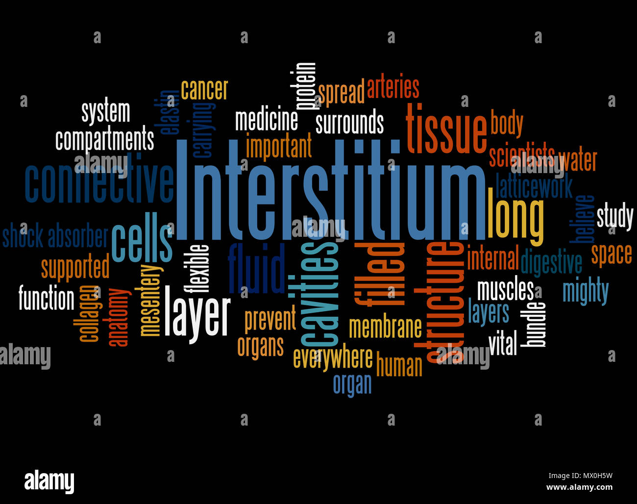 Interstitium (new organ discovered in human body) word cloud concept on ...