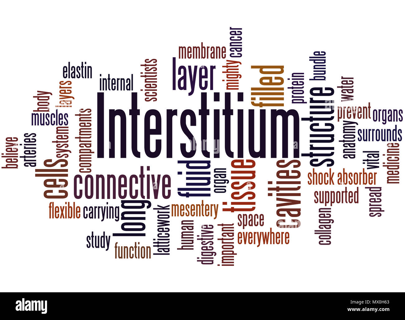 Interstitium (new organ discovered in human body) word cloud concept on ...
