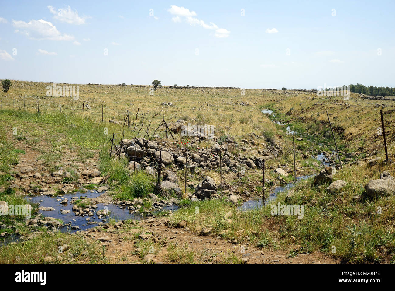 Footpath and small river in Galilee, Israel Stock Photo - Alamy