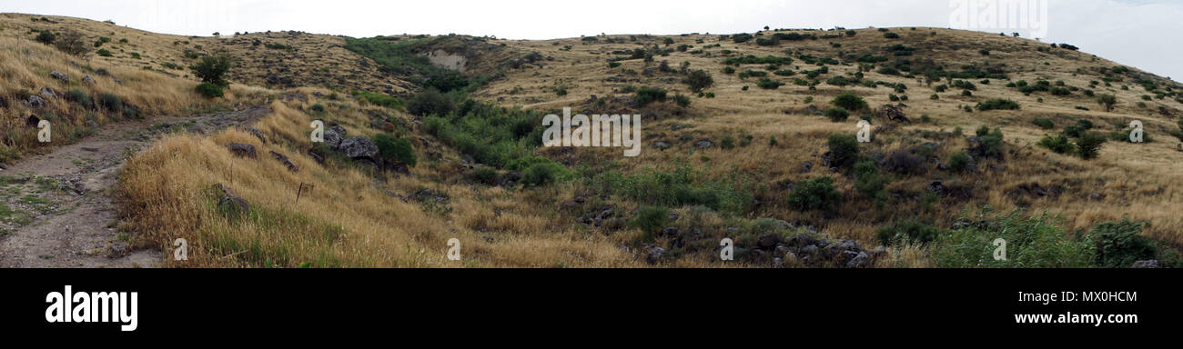 Dirt road on the slope and panorama of Galilee, Israel Stock Photo - Alamy