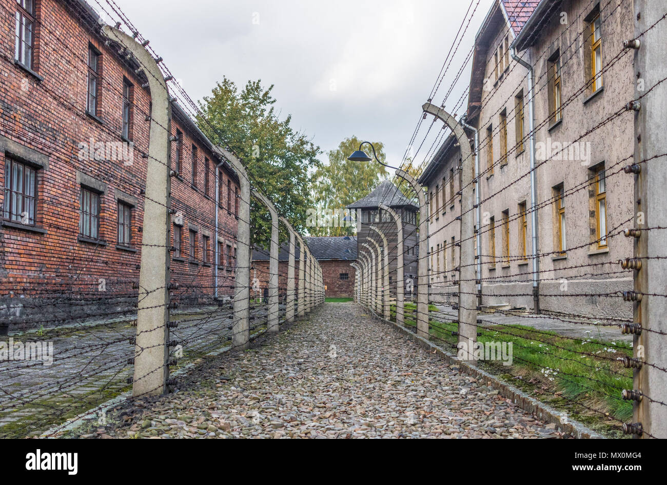 Holocaust Concentration Camps Today