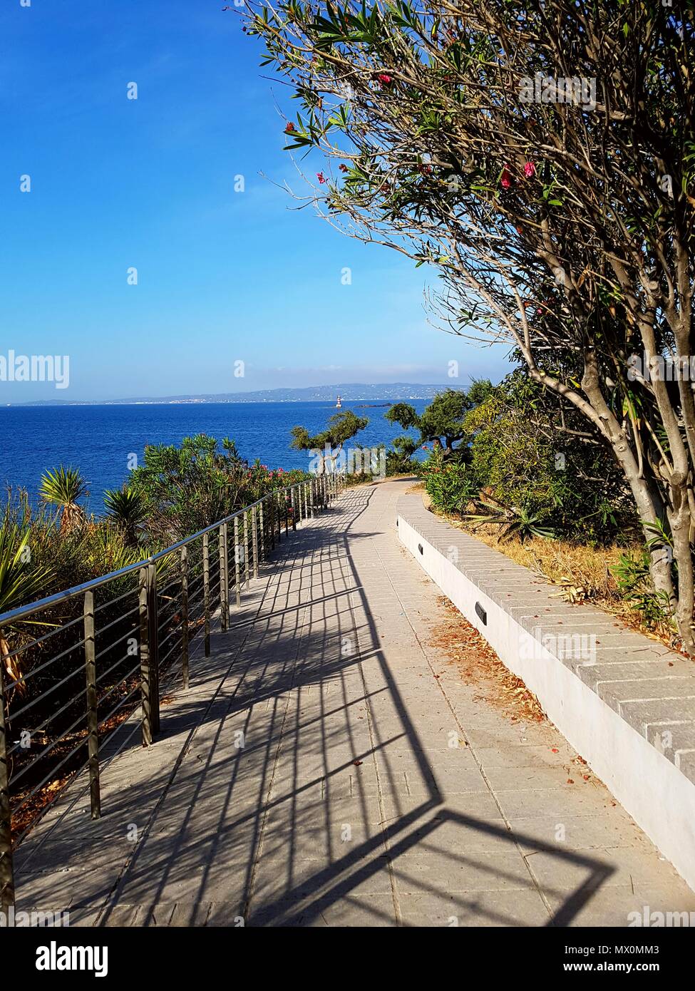 way to the sea Stock Photo - Alamy