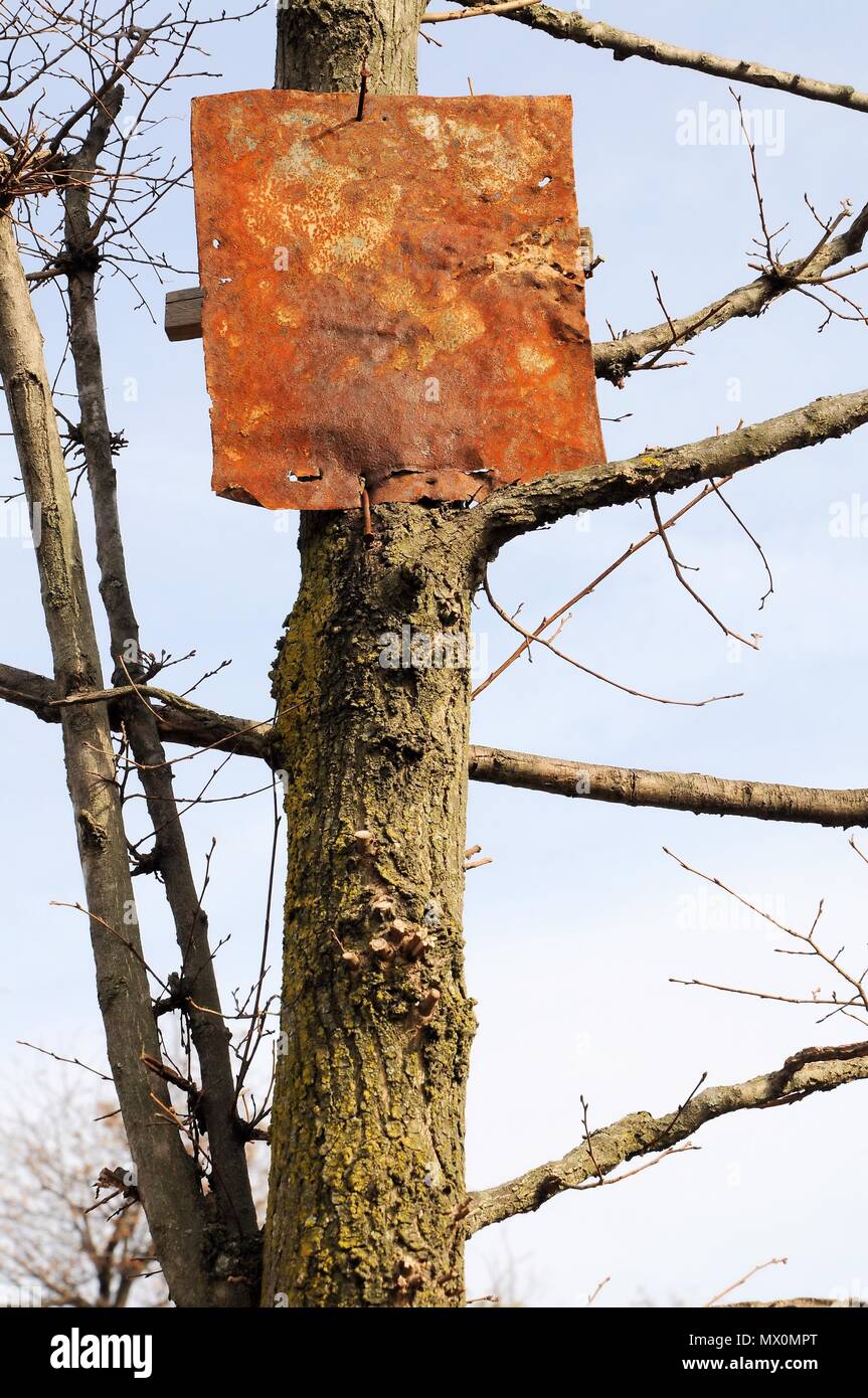 Empty rusty metal sign nailed to bare tree in nature Stock Photo - Alamy