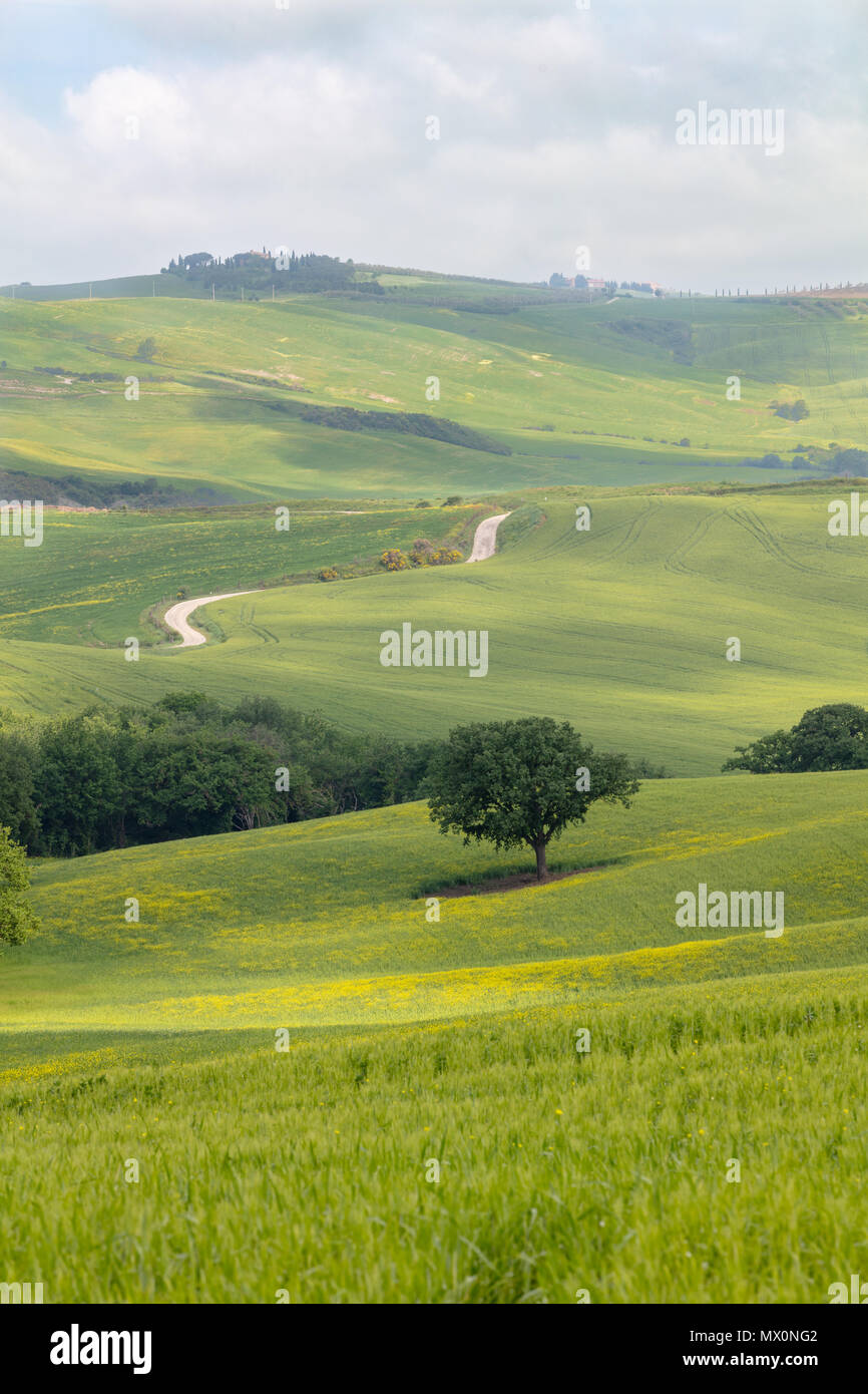 Rural countryside tourism hi-res stock photography and images - Alamy