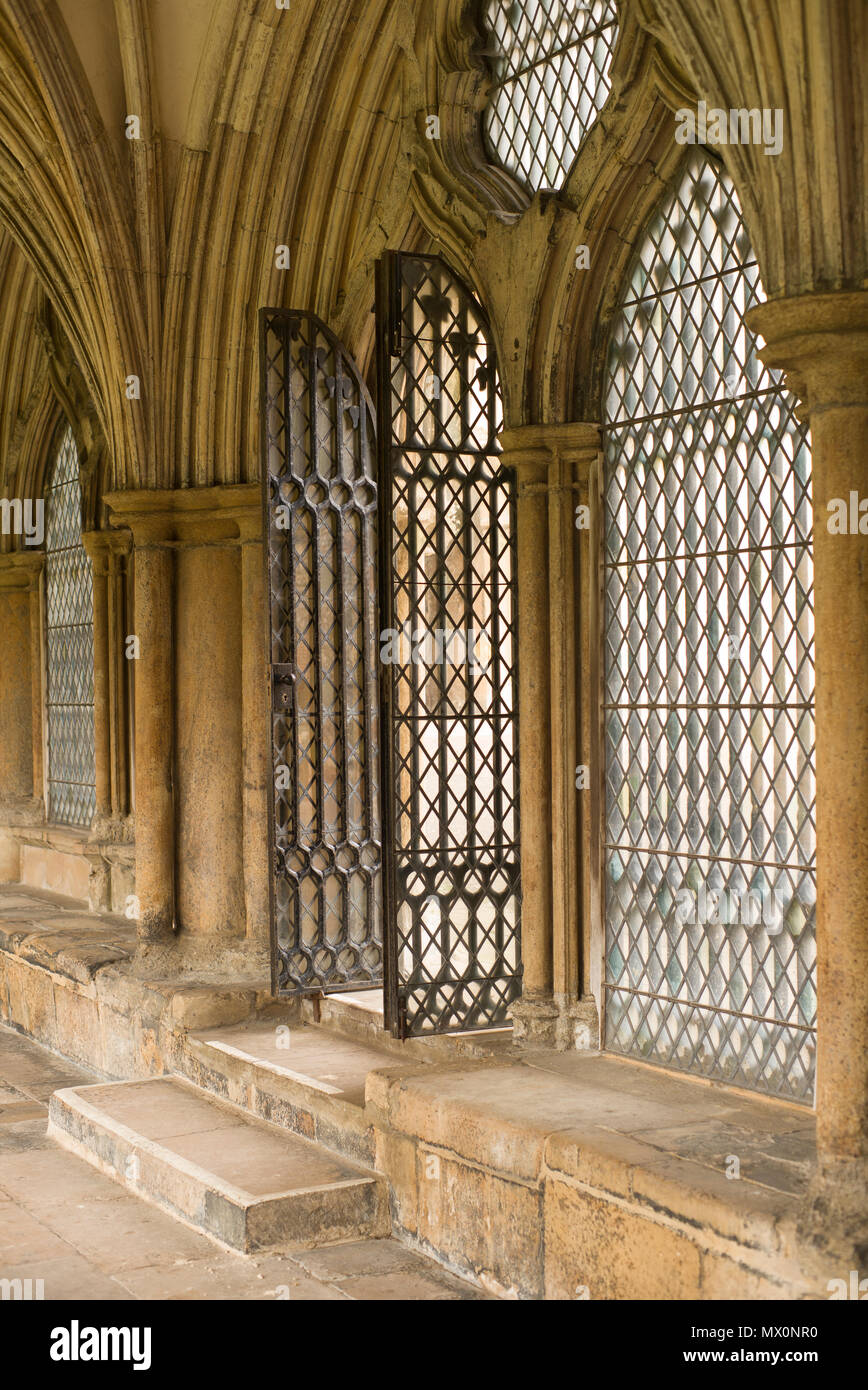 Norwich cathedral vaulted walkways Stock Photo - Alamy