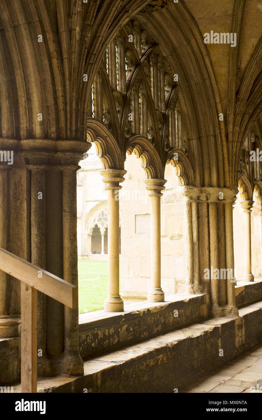 Norwich cathedral vaulted walkways Stock Photo - Alamy