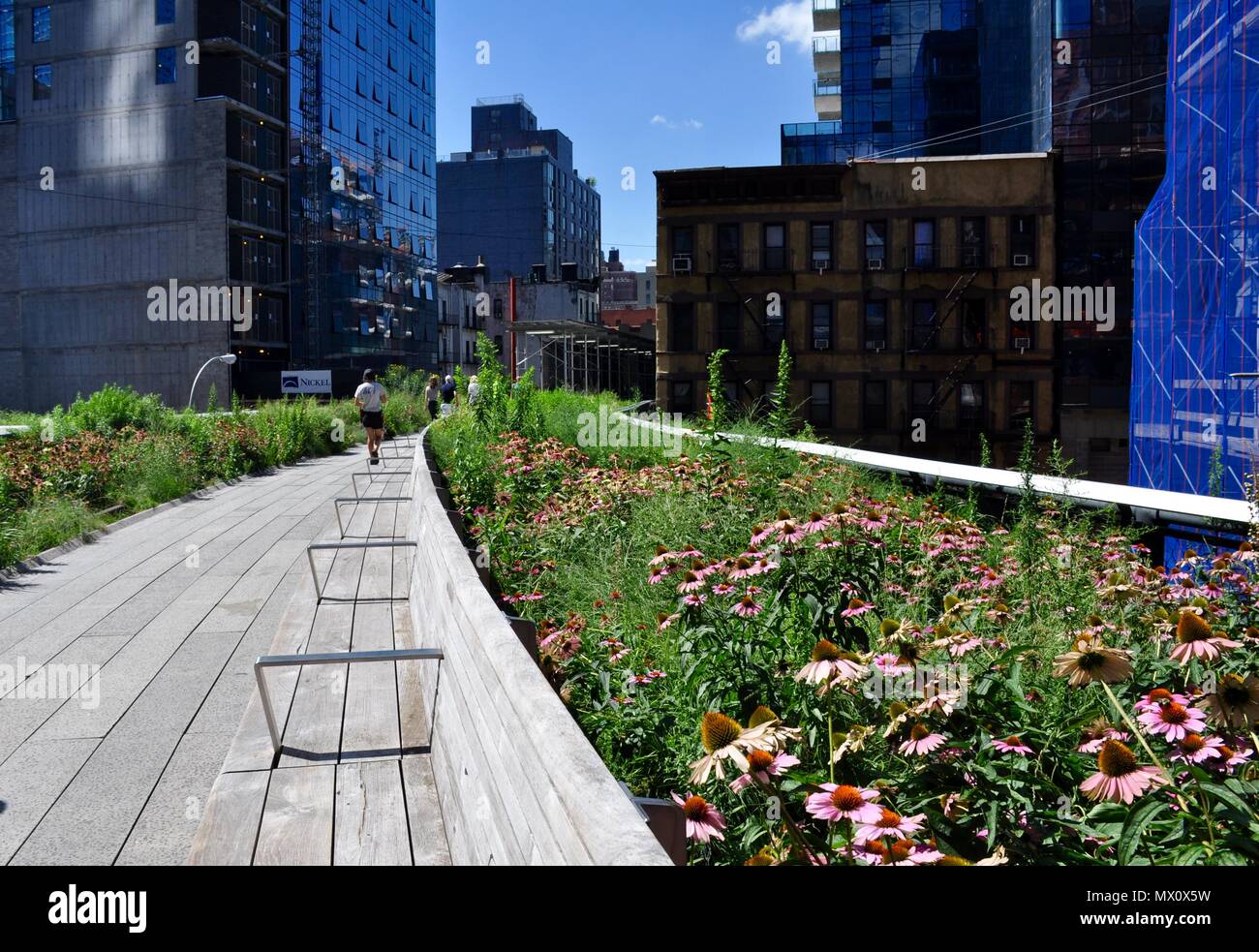 The high line new york city linear park hi-res stock photography and ...