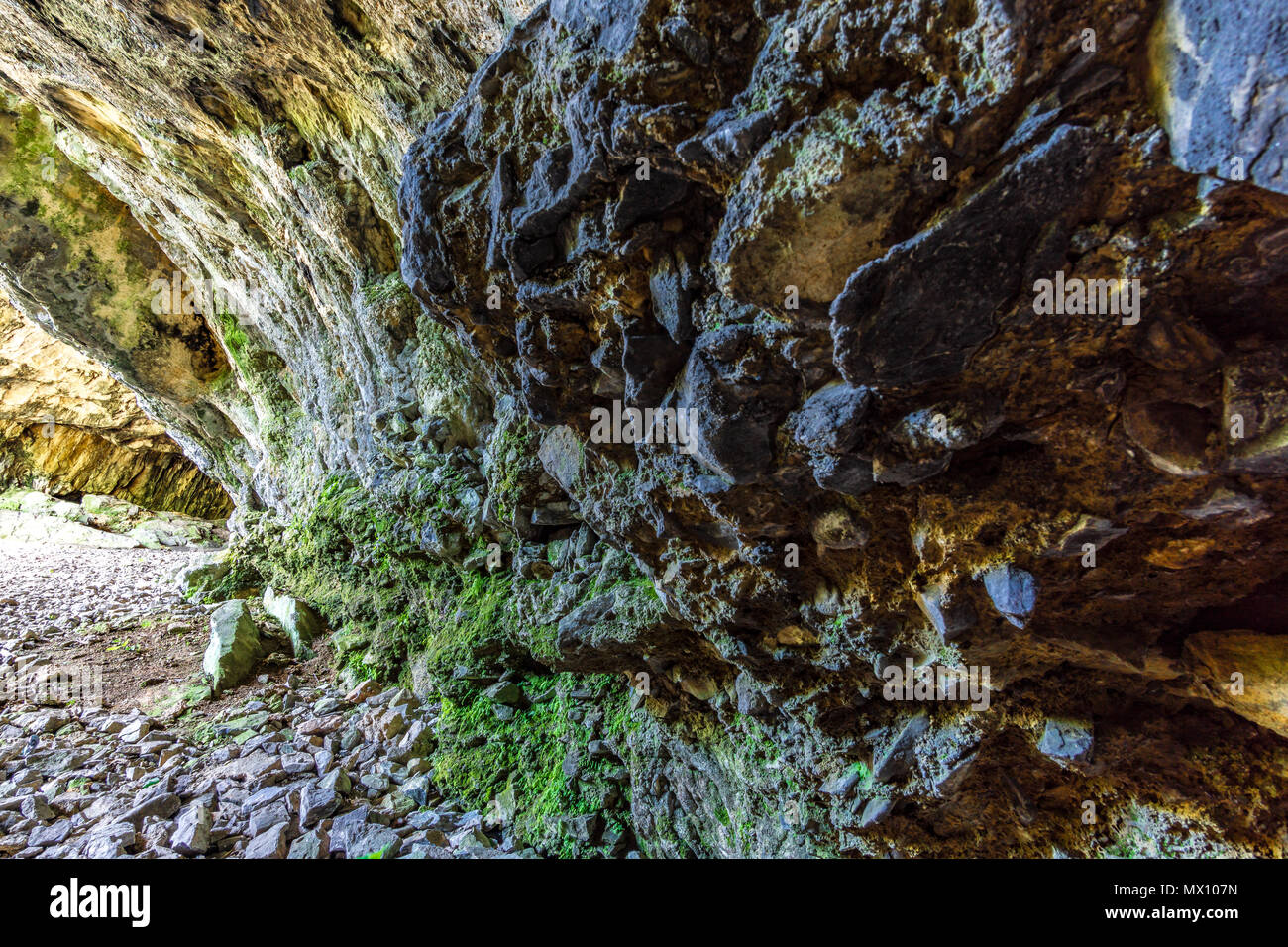 Cave lichen hi-res stock photography and images - Alamy