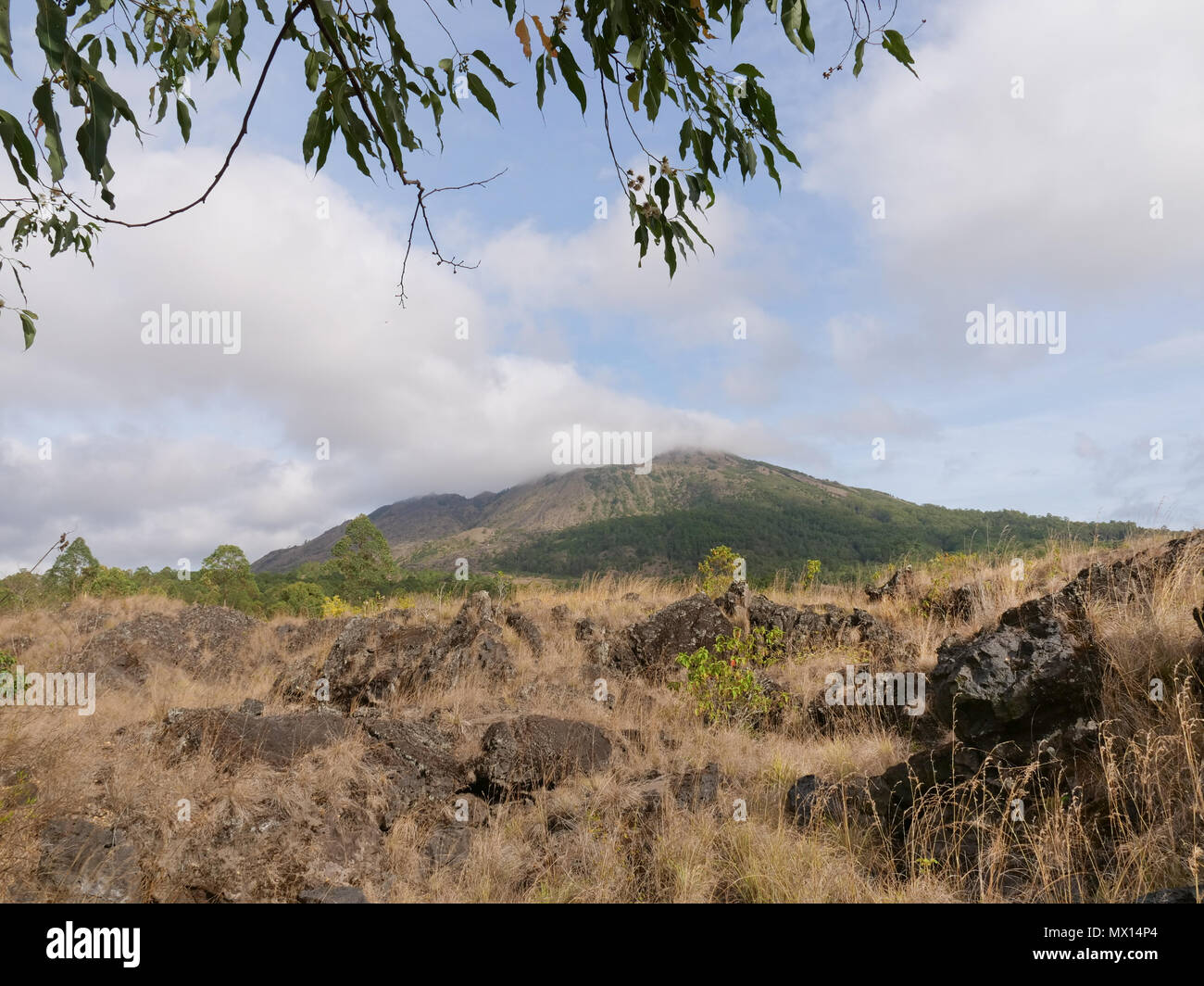 Volcano, mountain covered forest, sky with clouds, traces of lava on ...