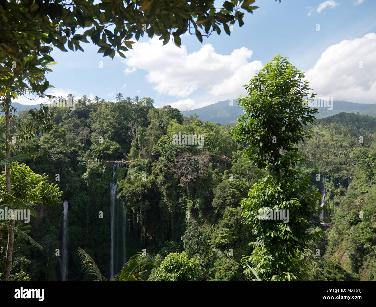 Waterfall in green rainforest. Triple waterfall Sekumpul in the ...