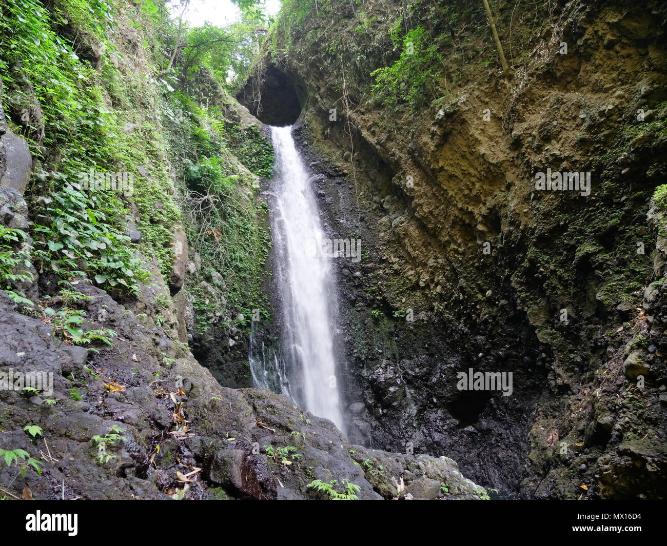 Waterfall in green rainforest. waterfall in the mountain jungle. Bali ...