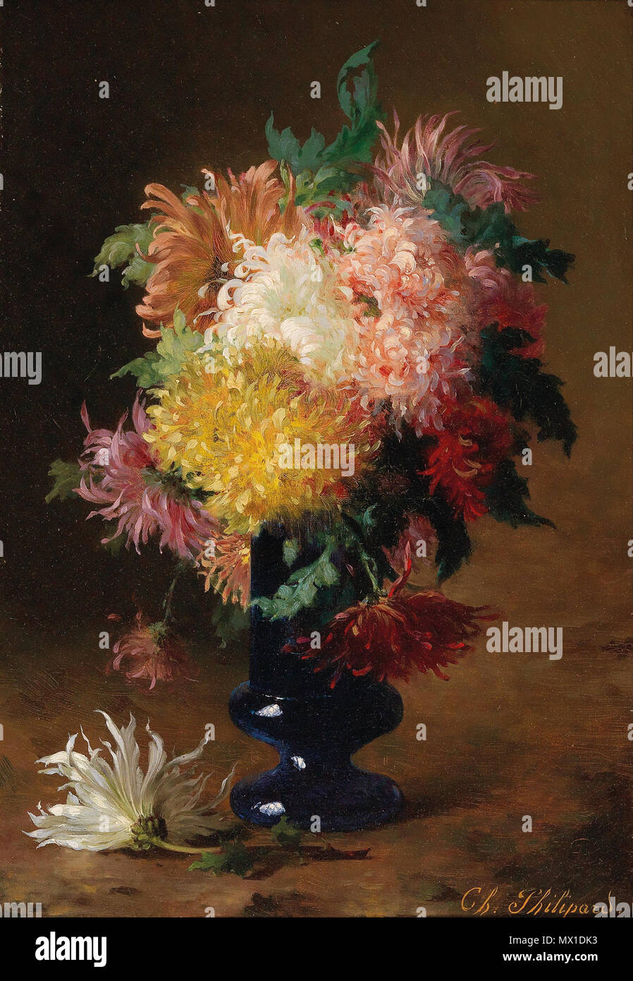 Asters in container hi-res stock photography and images - Alamy