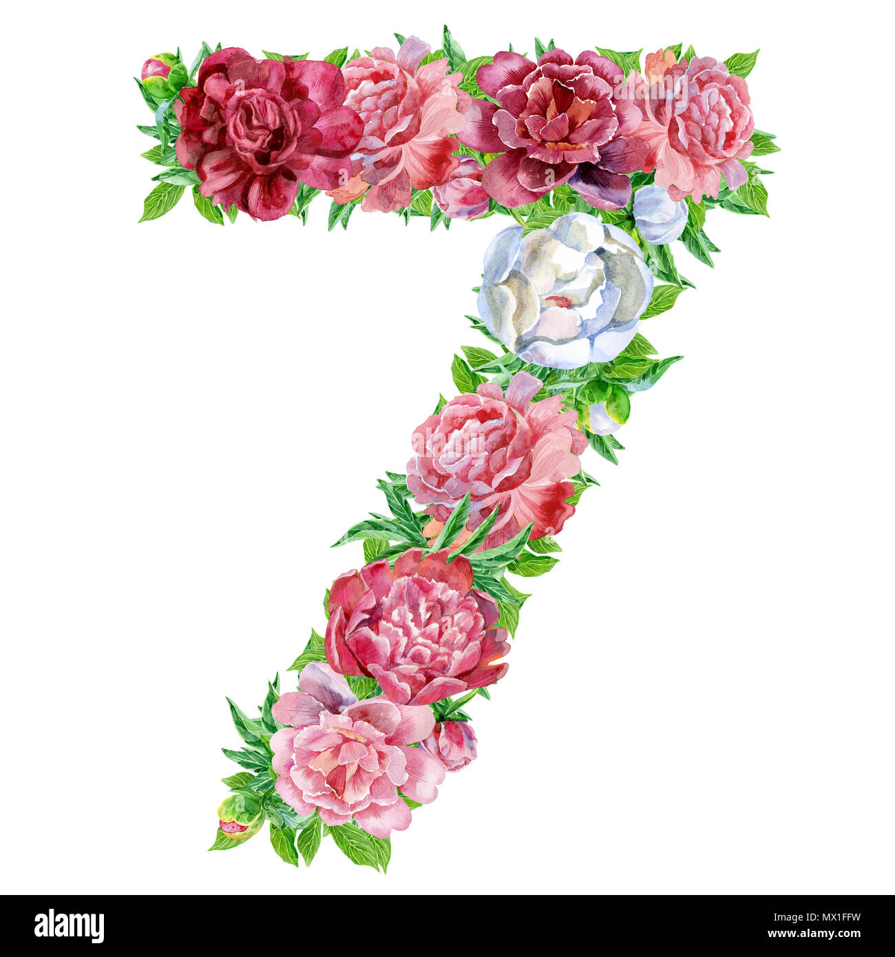 Number seven of watercolor flowers, isolated hand drawn on a white ...