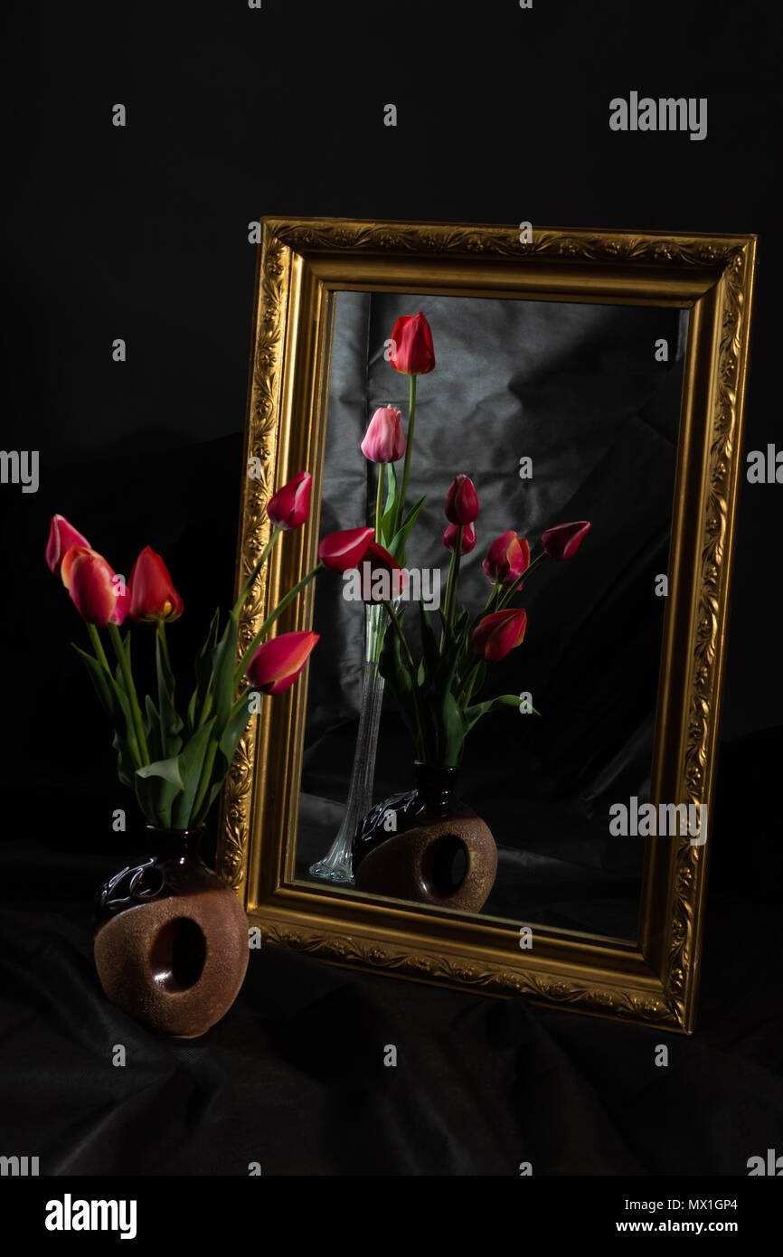 Abstract Magic. Tulip flowers in dark room reflecting in mirror with ...