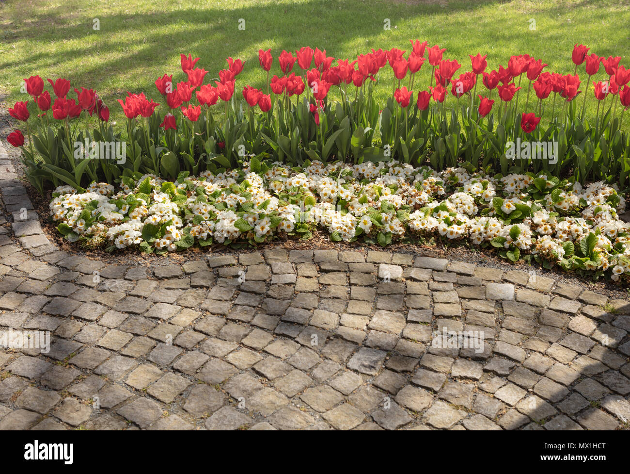 Paving pattern, along paved walkway planted flowerbed with beautiful ...