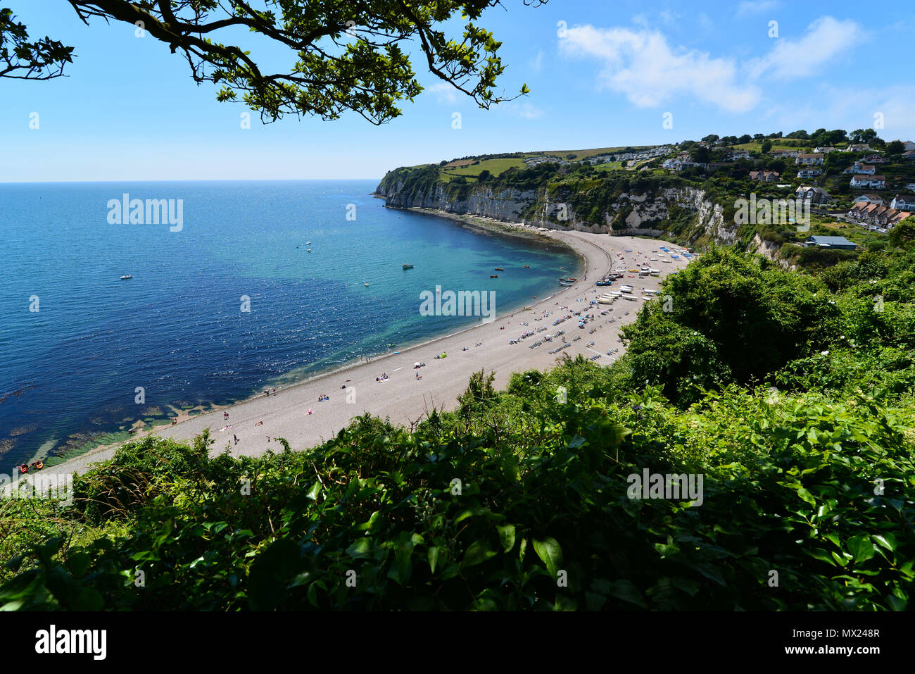 Overlooking Beer Beach, Devon, UK Stock Photo - Alamy