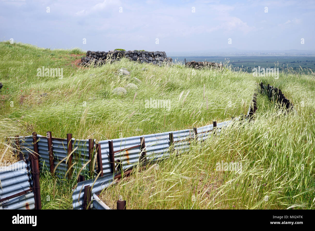 Old trench and green grass in Golan Heights in Israel Stock Photo - Alamy