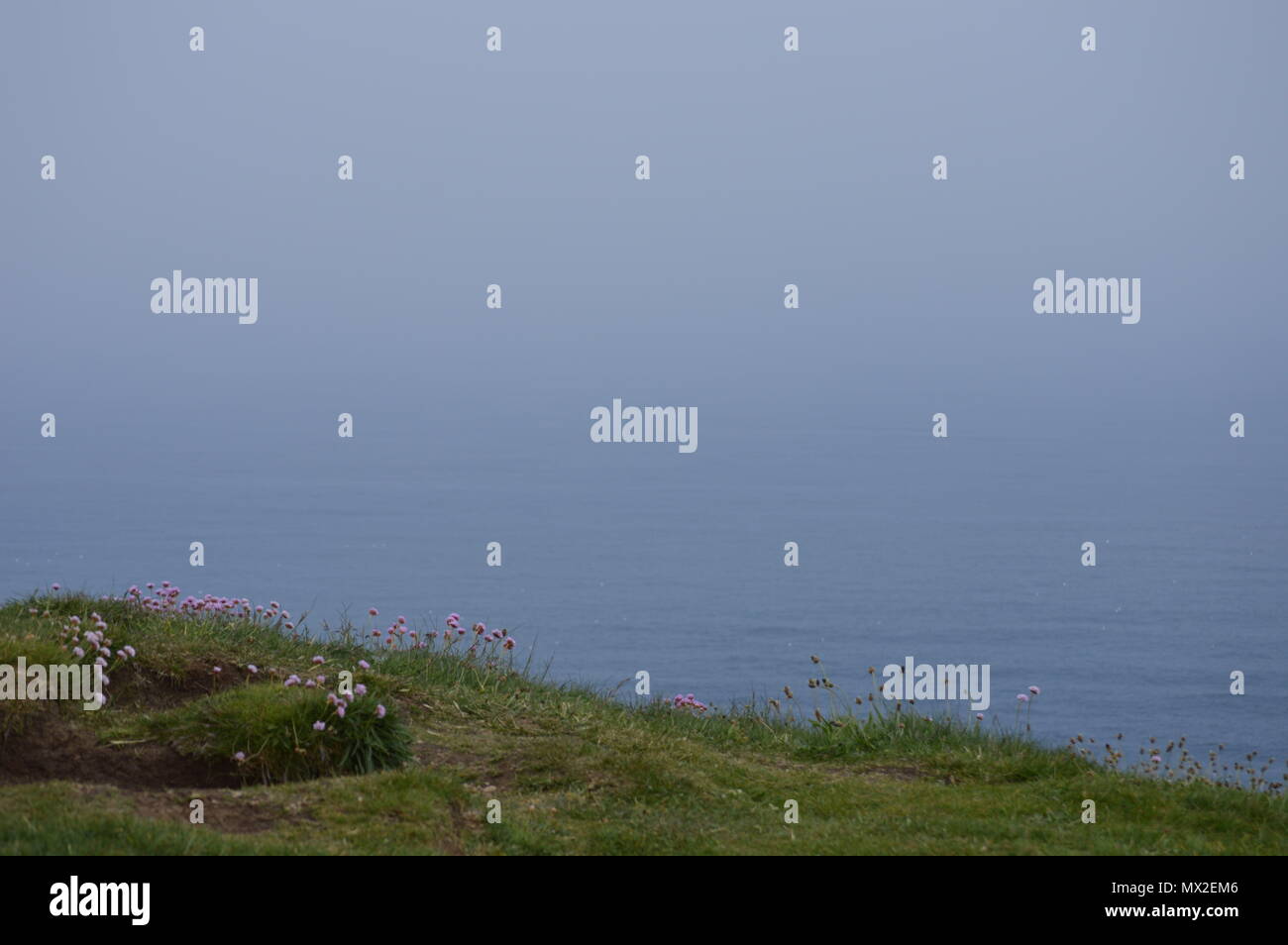 Grassy cliff edge hi-res stock photography and images - Alamy