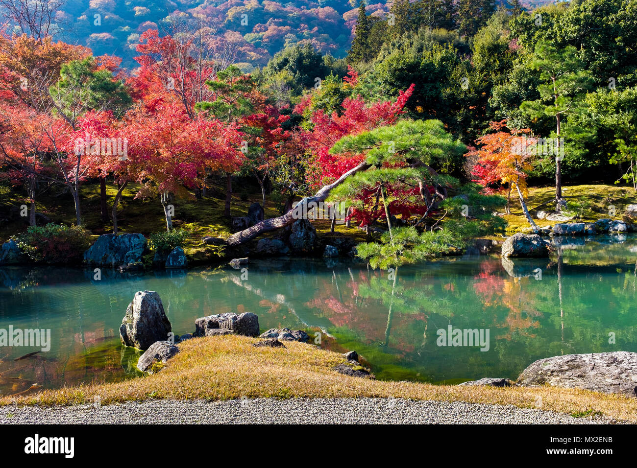 Rinzai branch of zen buddhism hi-res stock photography and images - Alamy