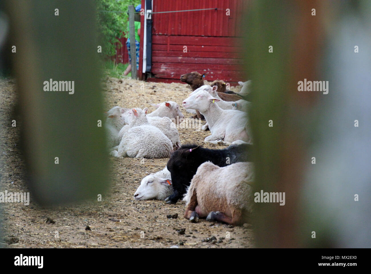 Vantaa River Stock Photos & Vantaa River Stock Images - Alamy