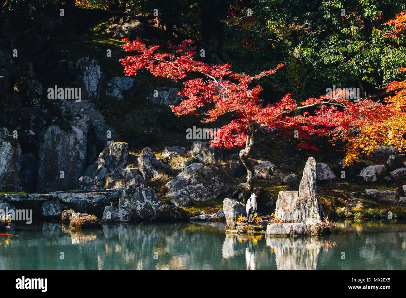 Tenryu ji head temple hi-res stock photography and images - Alamy
