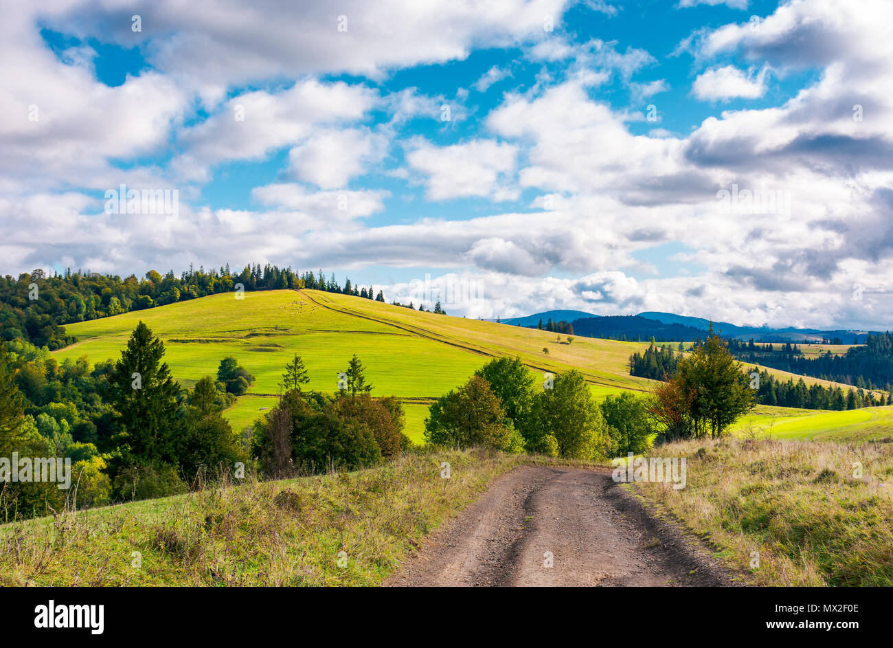 road through grassy meadow on a forested hill. lovely nature scenery ...