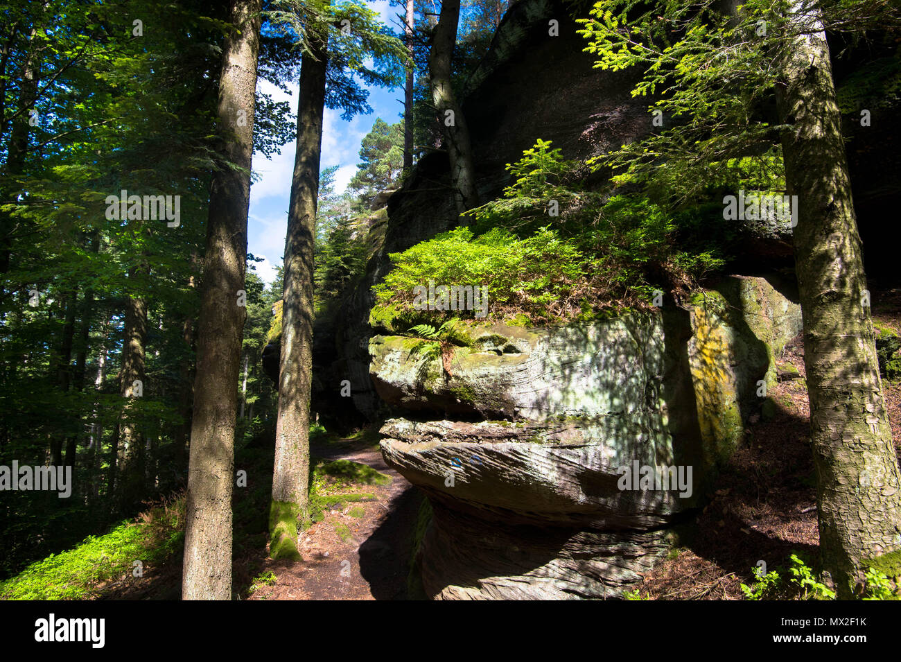 Rocks and forest of Dabo in the Vosges mountains in France Stock Photo ...