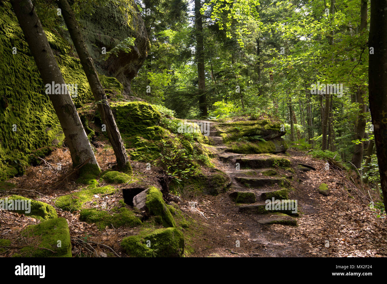 Rocks and forest of Dabo in the Vosges mountains in France Stock Photo ...