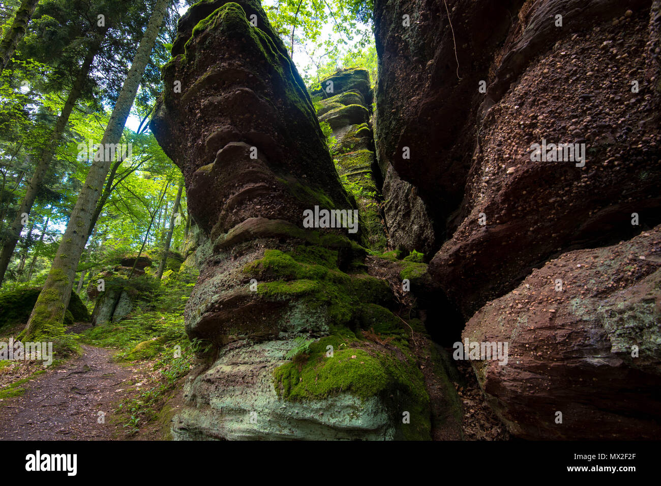 Rocks and forest of Dabo in the Vosges mountains in France Stock Photo ...