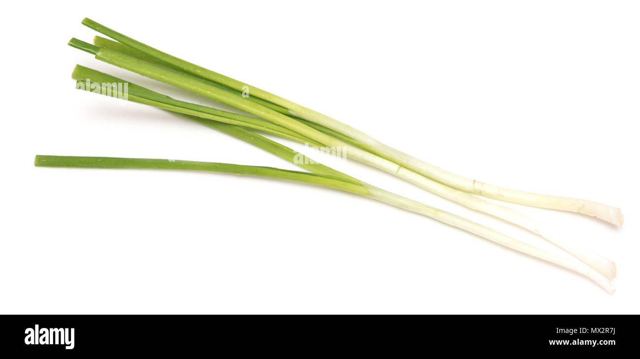 Green onion isolated on white background Stock Photo - Alamy