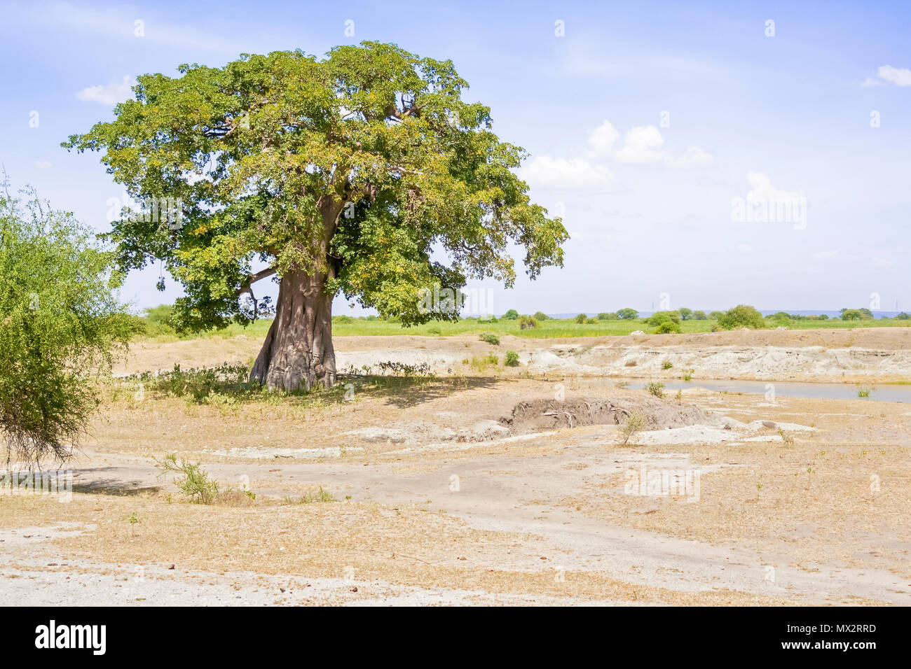Babati hi-res stock photography and images - Alamy