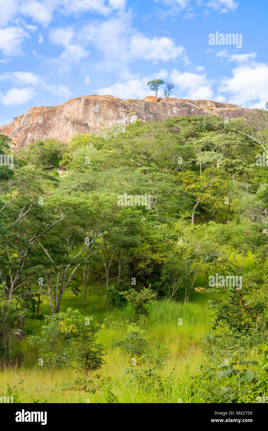 View at the wild life landscape near Rungwa in Tanzania Stock Photo - Alamy