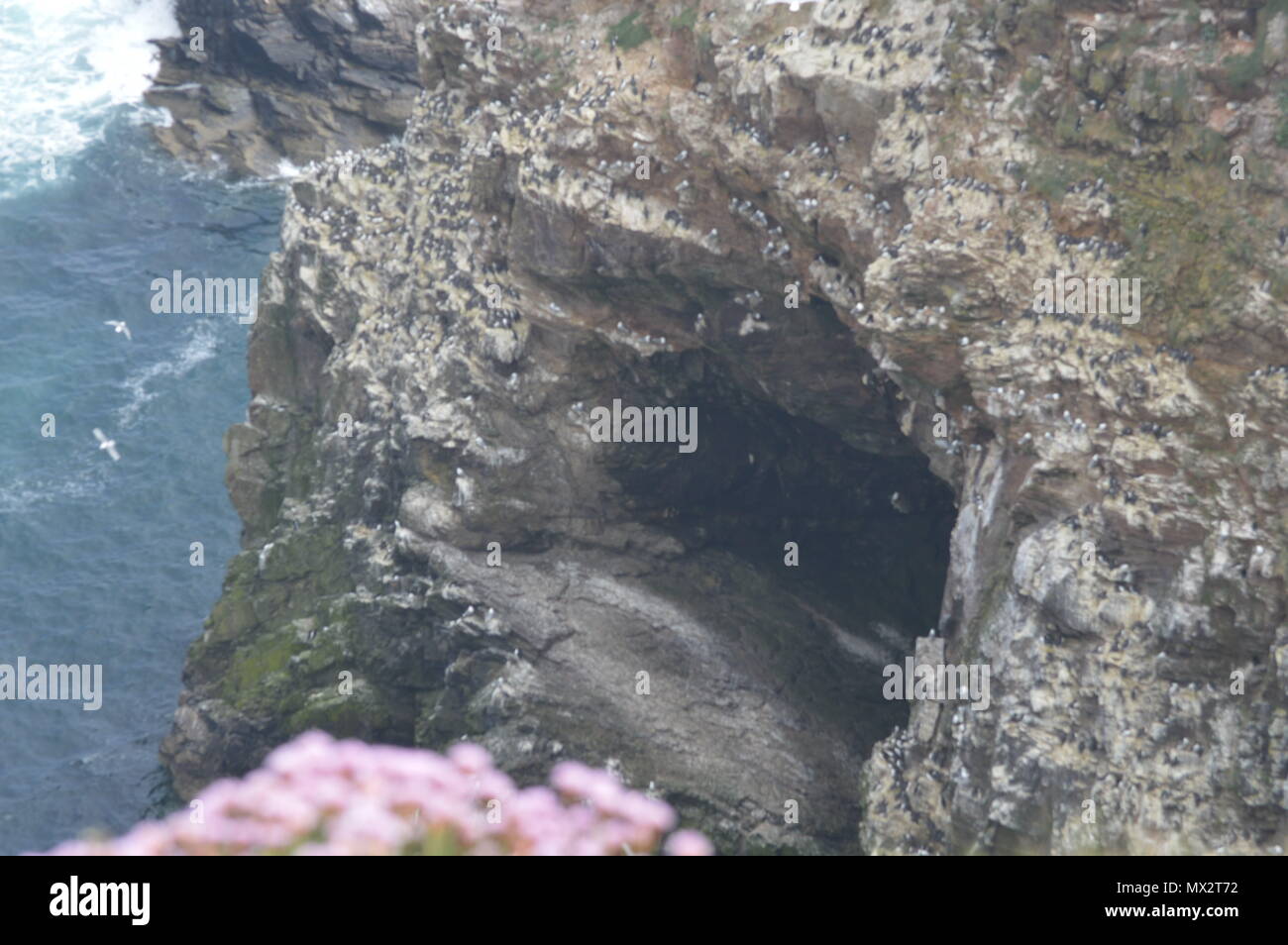 Cave at the bottom of a cliff hi-res stock photography and images - Alamy