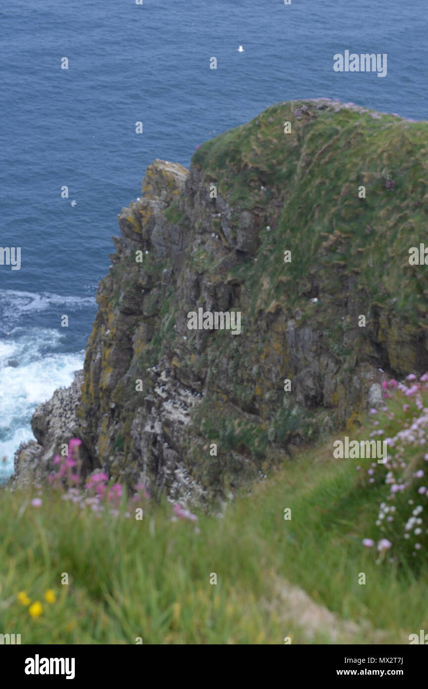 Rocky cliff edge on a hill walking path next to the sea Stock Photo - Alamy