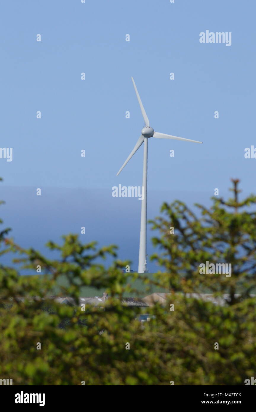 A windmill in the distance behind some trees Stock Photo - Alamy