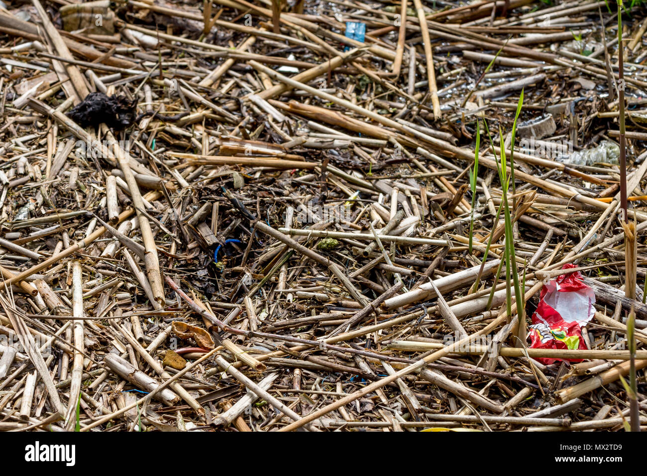 Litter pollution hi-res stock photography and images - Alamy