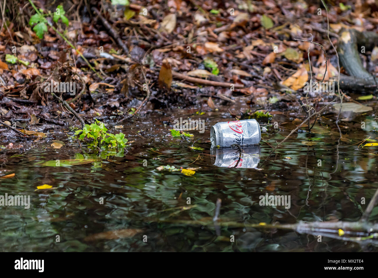 Aluminium drink (diet coca cola) can discarded as litter, floating on ...