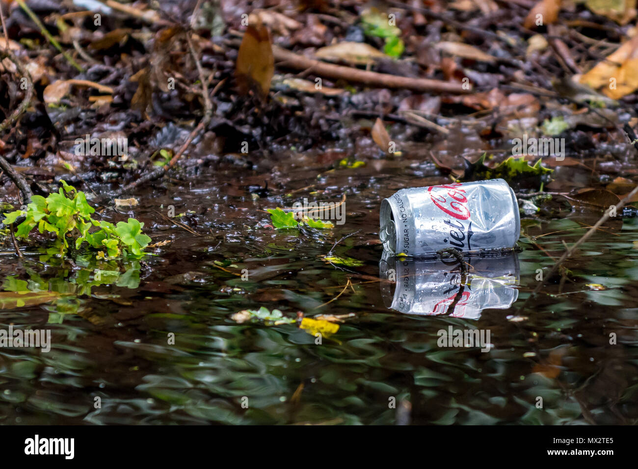 Aluminium drink (diet coca cola) can discarded as litter, floating on ...