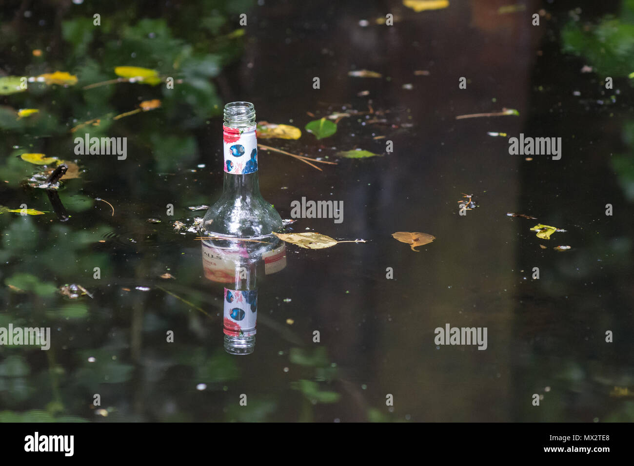 empty wine bottle floating upright in dark water reflecting leaves and ...