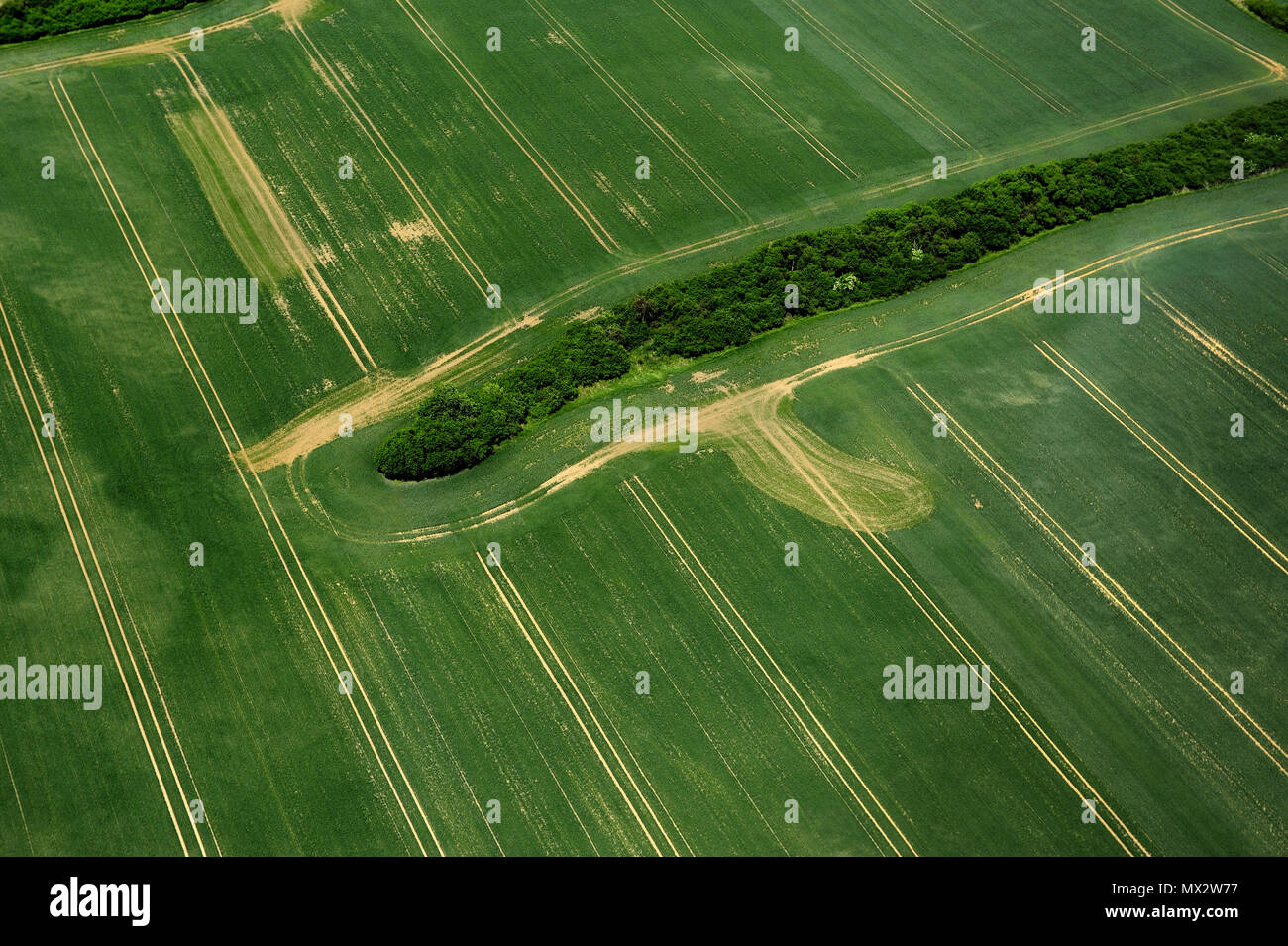 aero, air, beauty, country, earth, weather, earth, green, spring ...