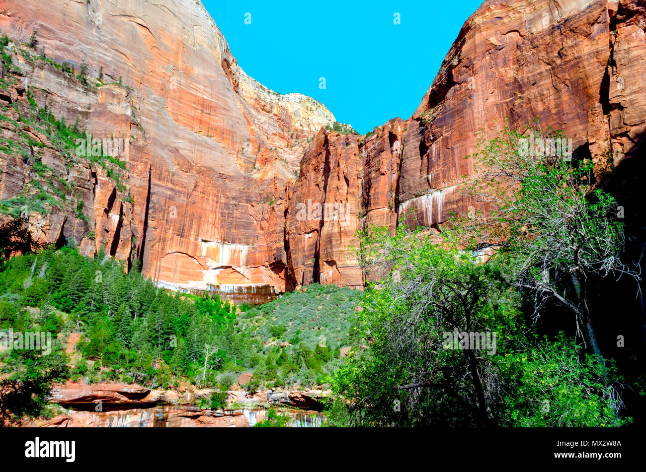 Box canyon with vertical wall under clear sky Stock Photo - Alamy