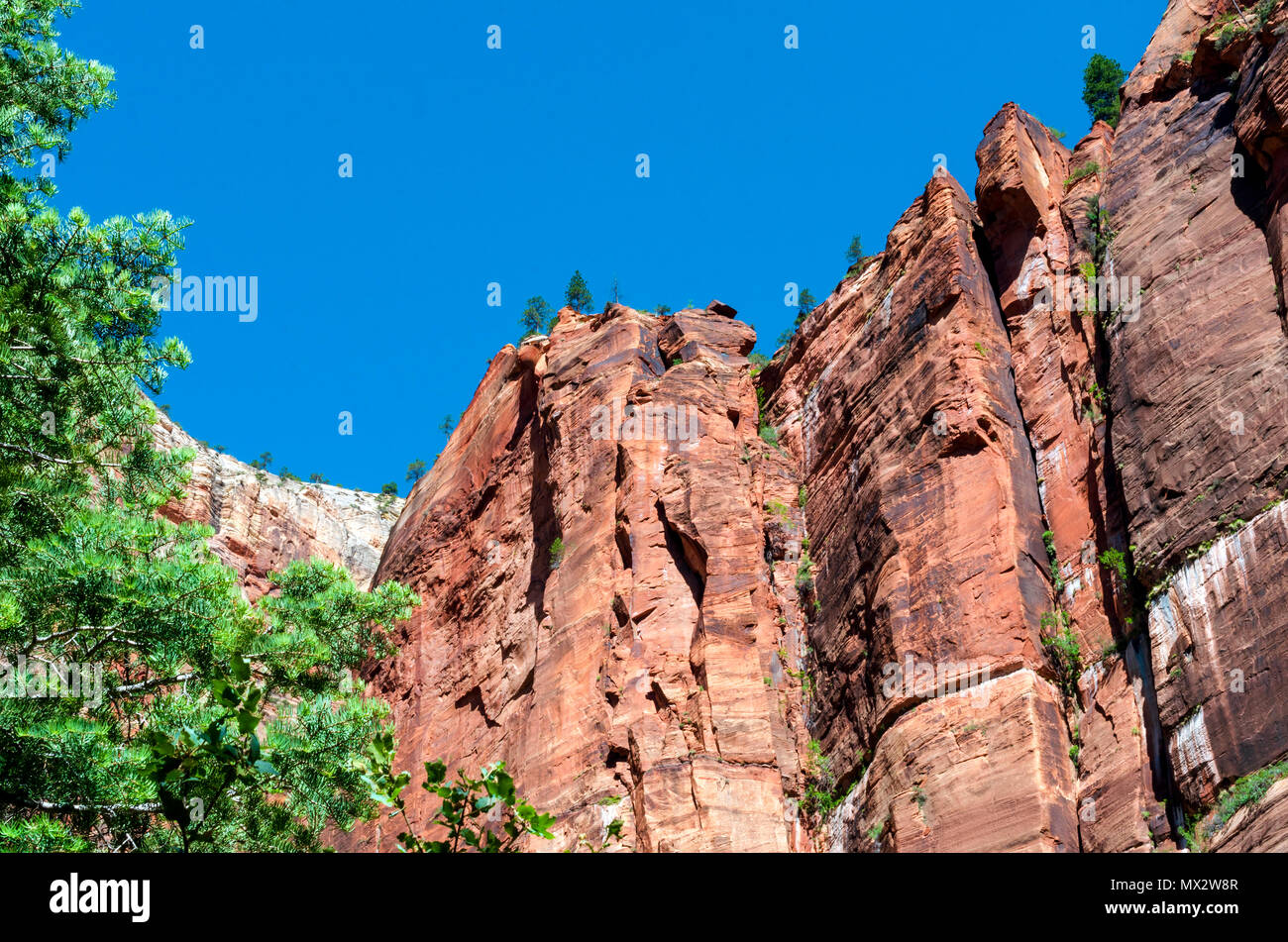Trees on left side steep rock mountain on the right under a clear blue ...