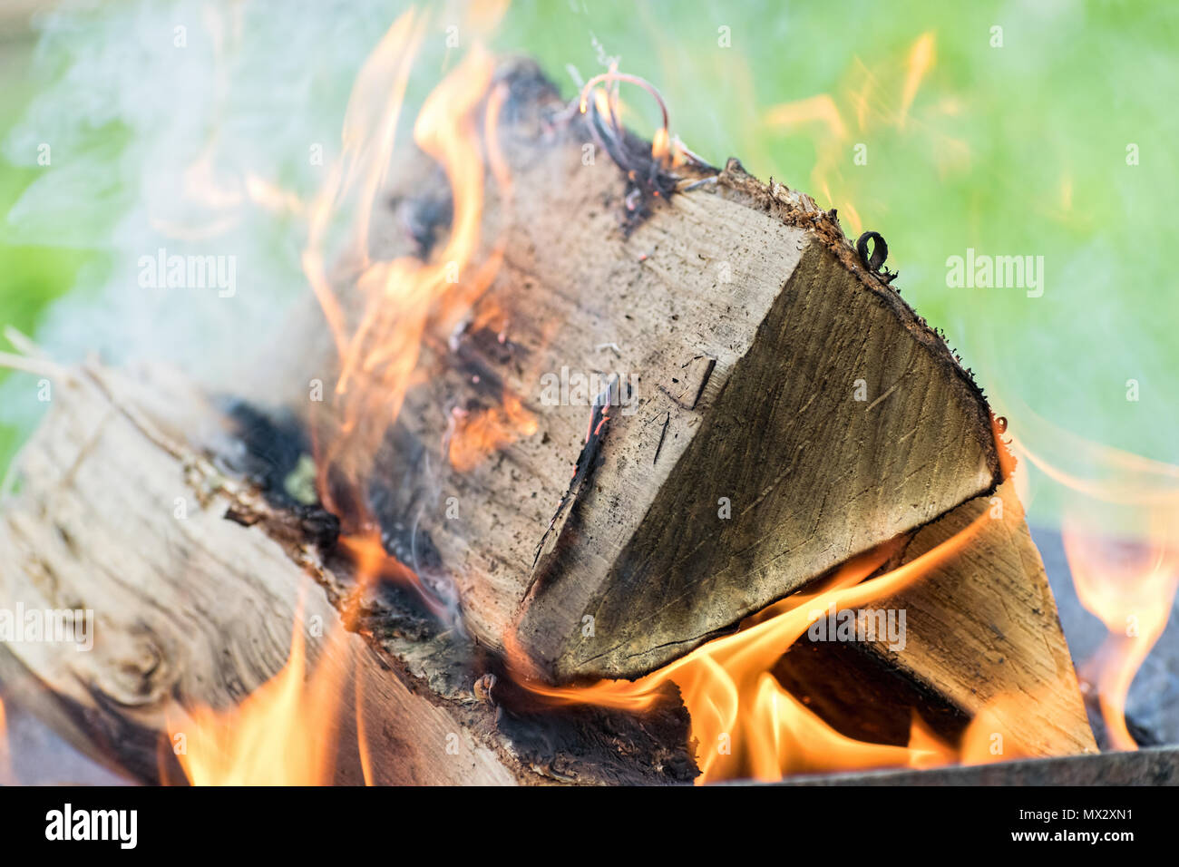 Bonfire burning in the forest macro closeup Stock Photo - Alamy