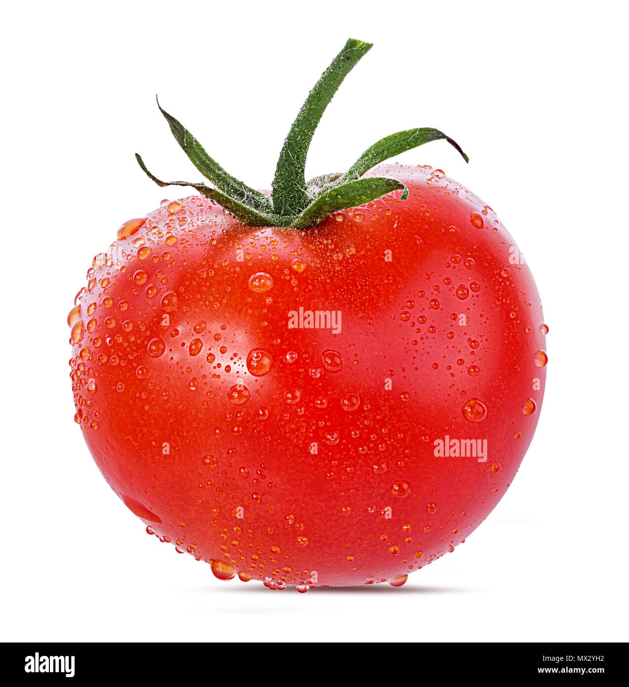 tomato isolated on white background Stock Photo - Alamy