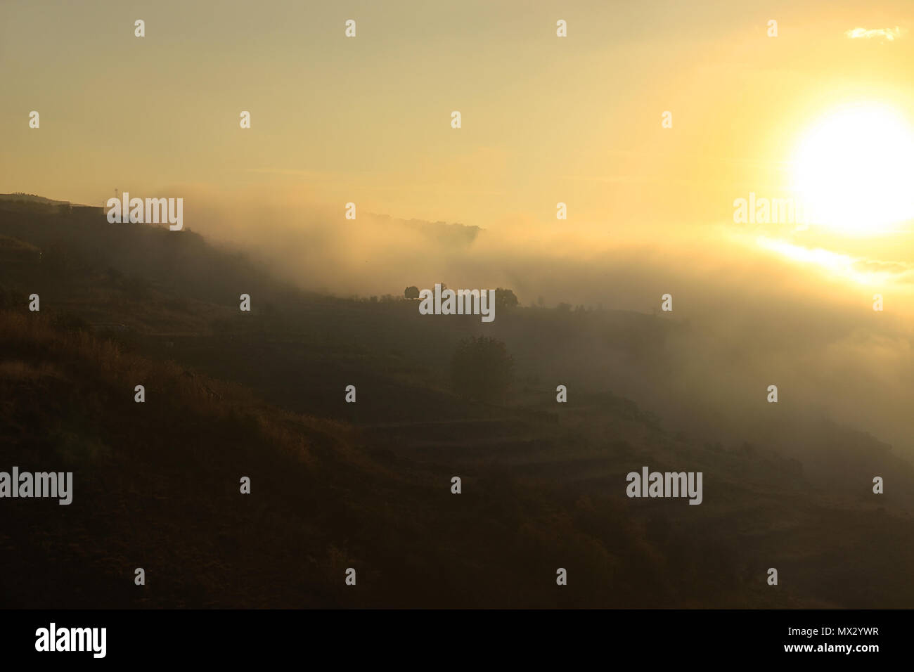 Magical sunlight hi-res stock photography and images - Alamy