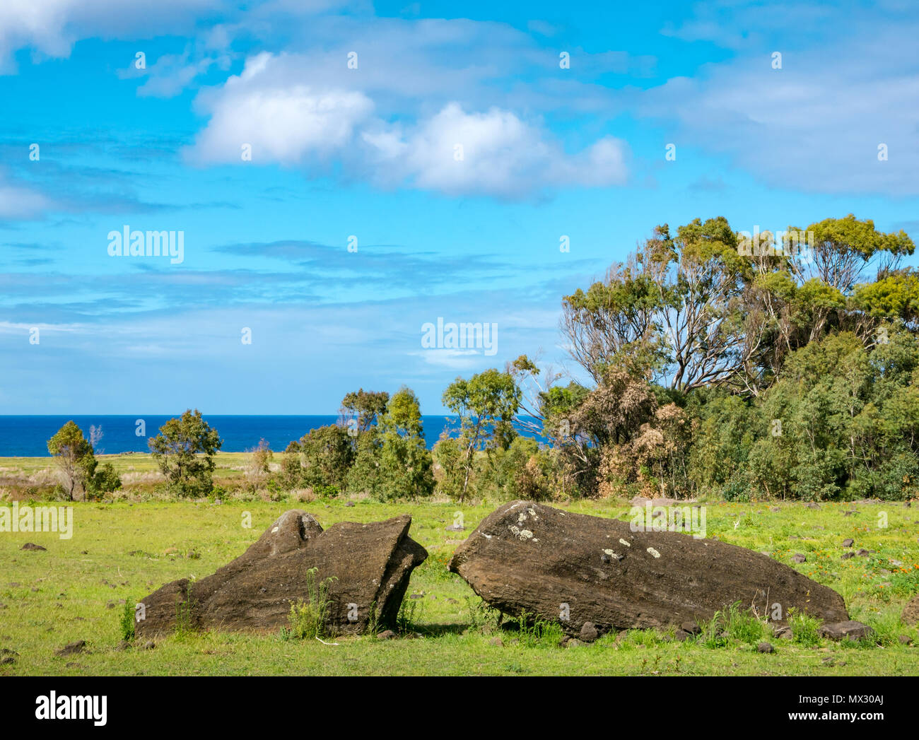Tongariki Moai, largest reconstructed Ahu, with pacific Ocean backdrop ...