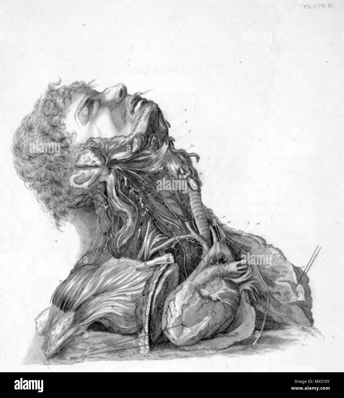 . Charles Bell (1774-1842): A Series of Engravings, Explaining the ...