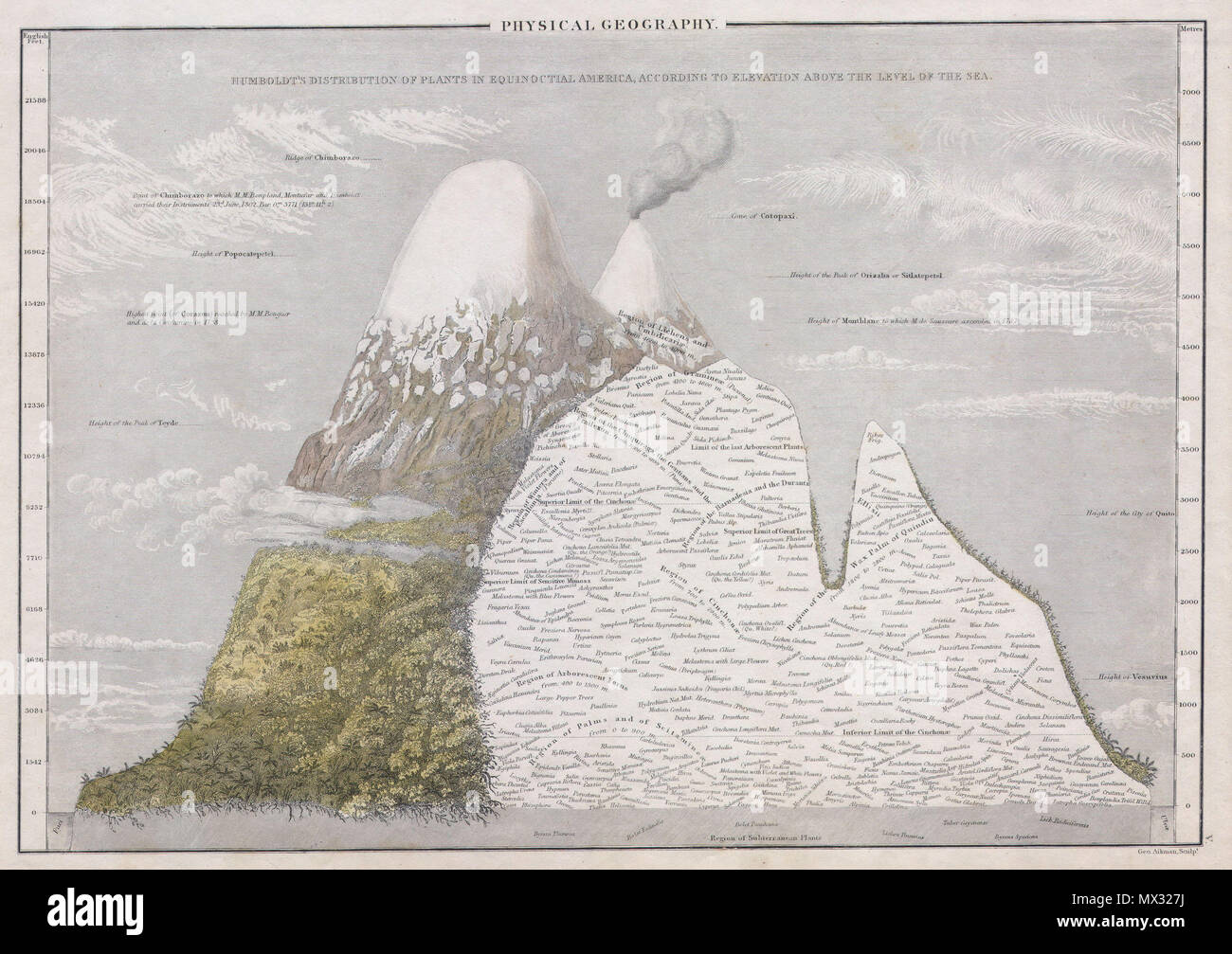 . Physical Geography. Humboldt’s Distribution of Plants in Equinoctial ...