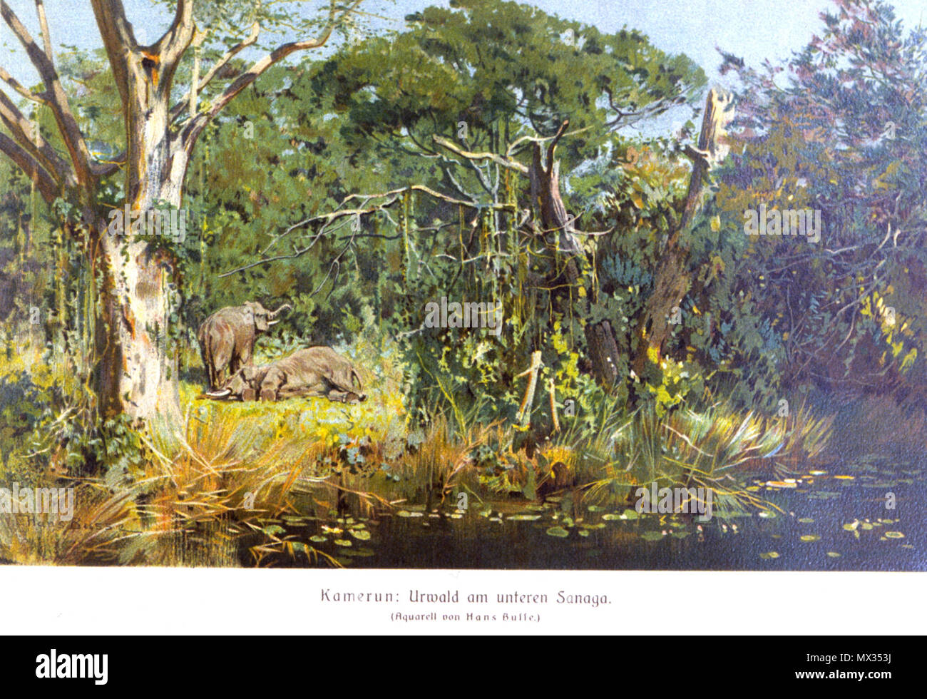 German colony cameroon hi-res stock photography and images - Alamy